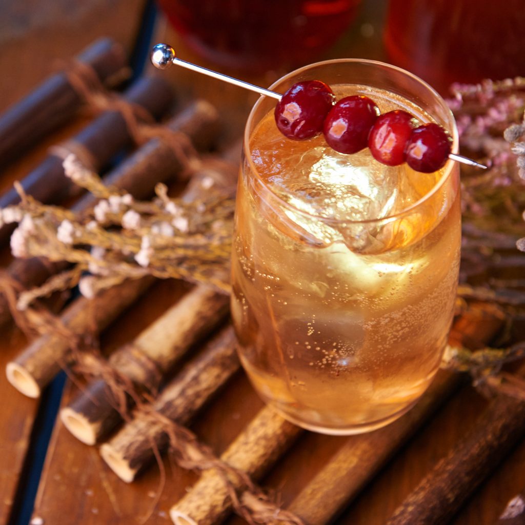 Cranberry Rum Highball » US Cranberries